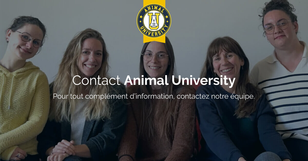 Animal University - Contactez notre equipe