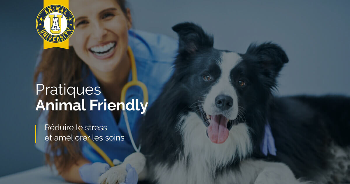 Formation pratiques Animal Friendly – Respect et bien-être animal